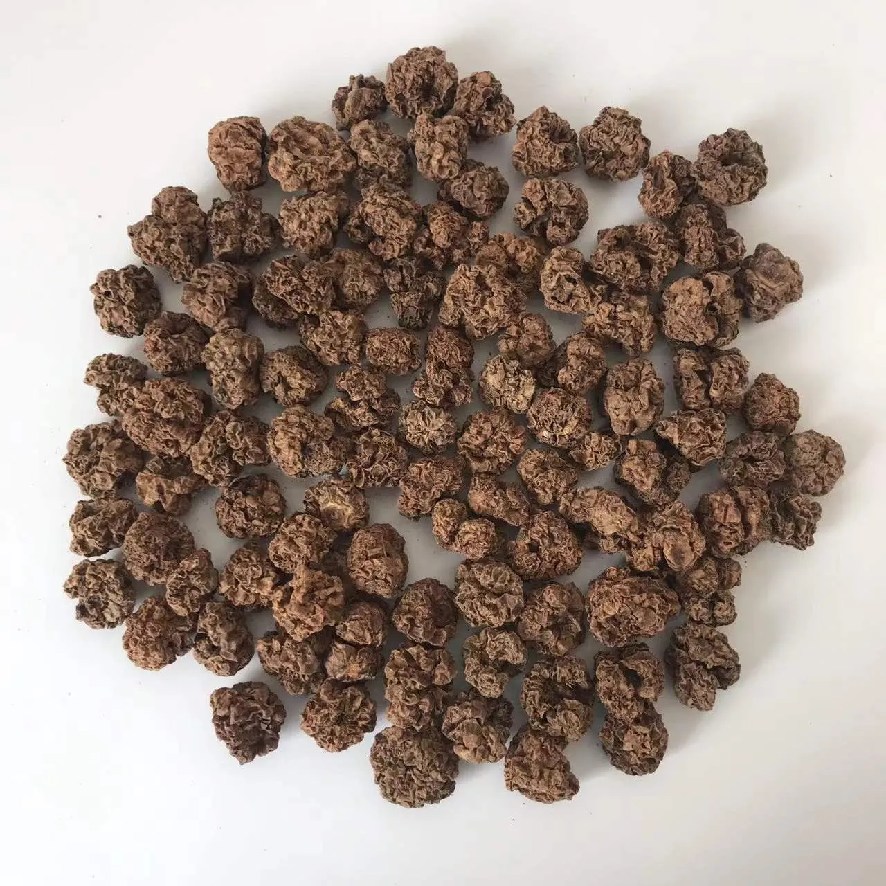 YHC09 Chong Ying Guo Wholesale Bulk Dried Fruits Actinidia Polygama ...