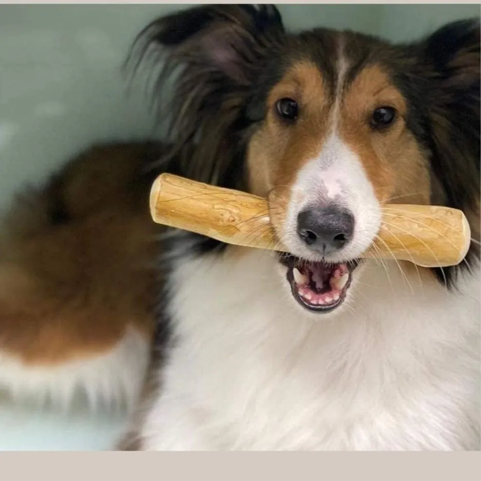 Natural Coffee Wood Dog Chew Sticks - Durable & Safe Chew Toys for ...