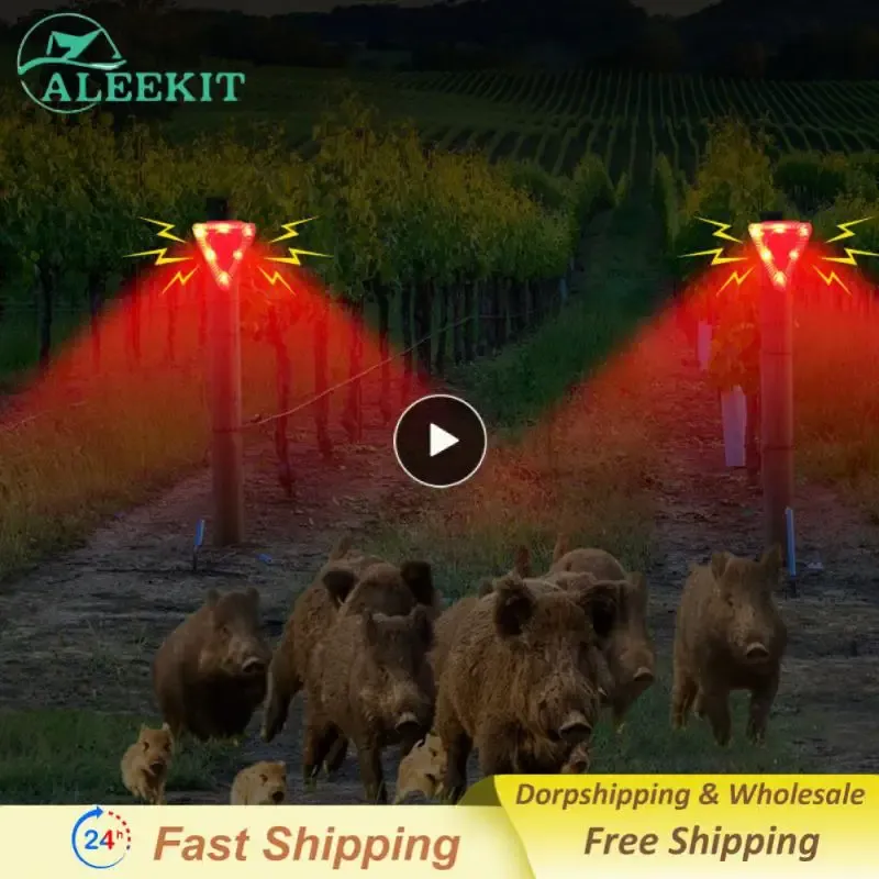 Solar Powered Animal Repellent Light with Flashing Red LED: Protect ...