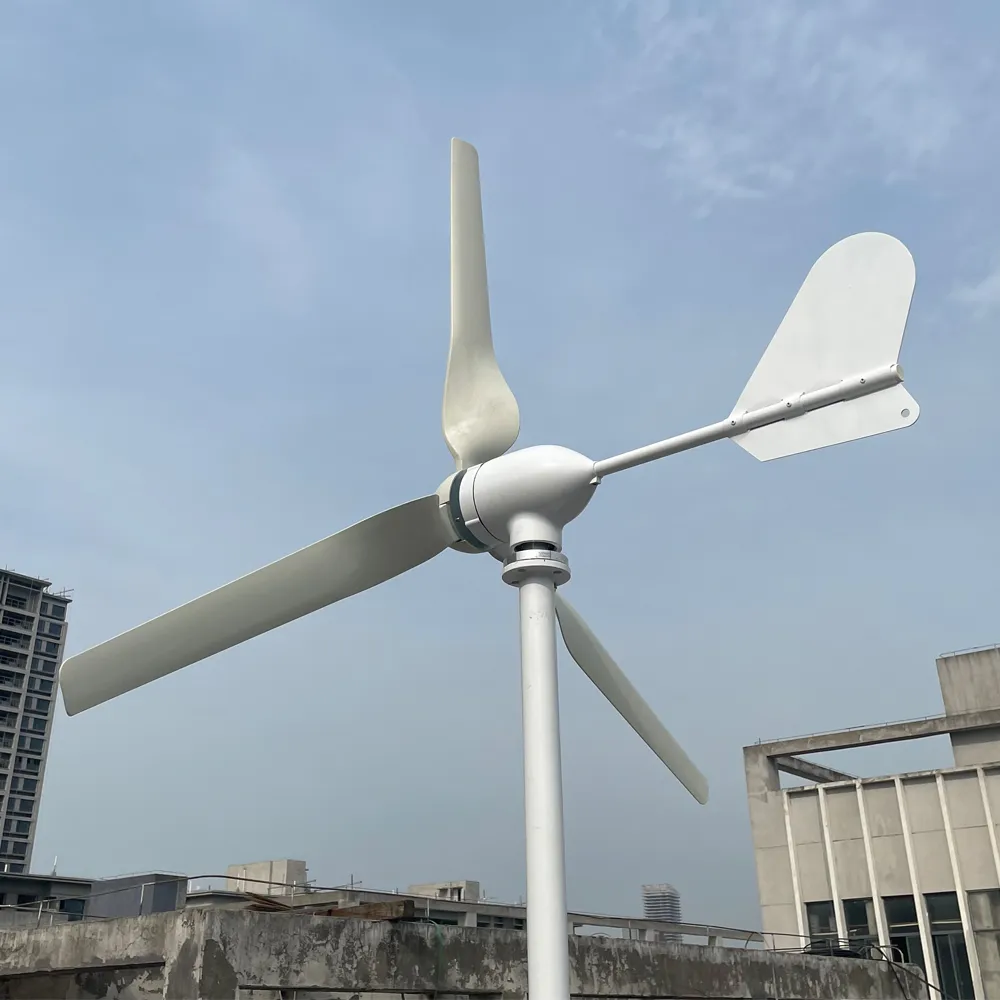 Horizontal Wind Turbine Generator: Eco-Friendly Power for Homes, 12V ...