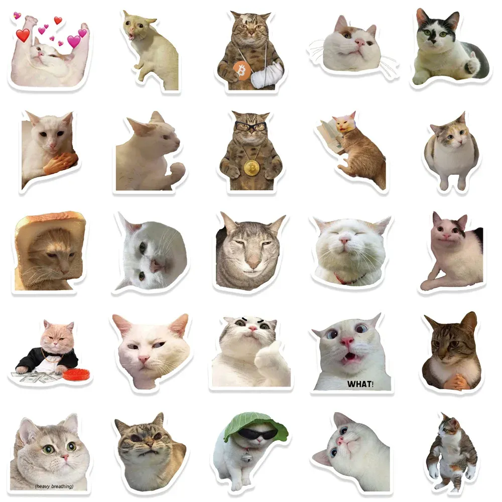 Funny Cat MEME Stickers for Kids 14+ DIY Decals for Notebooks Laptops ...