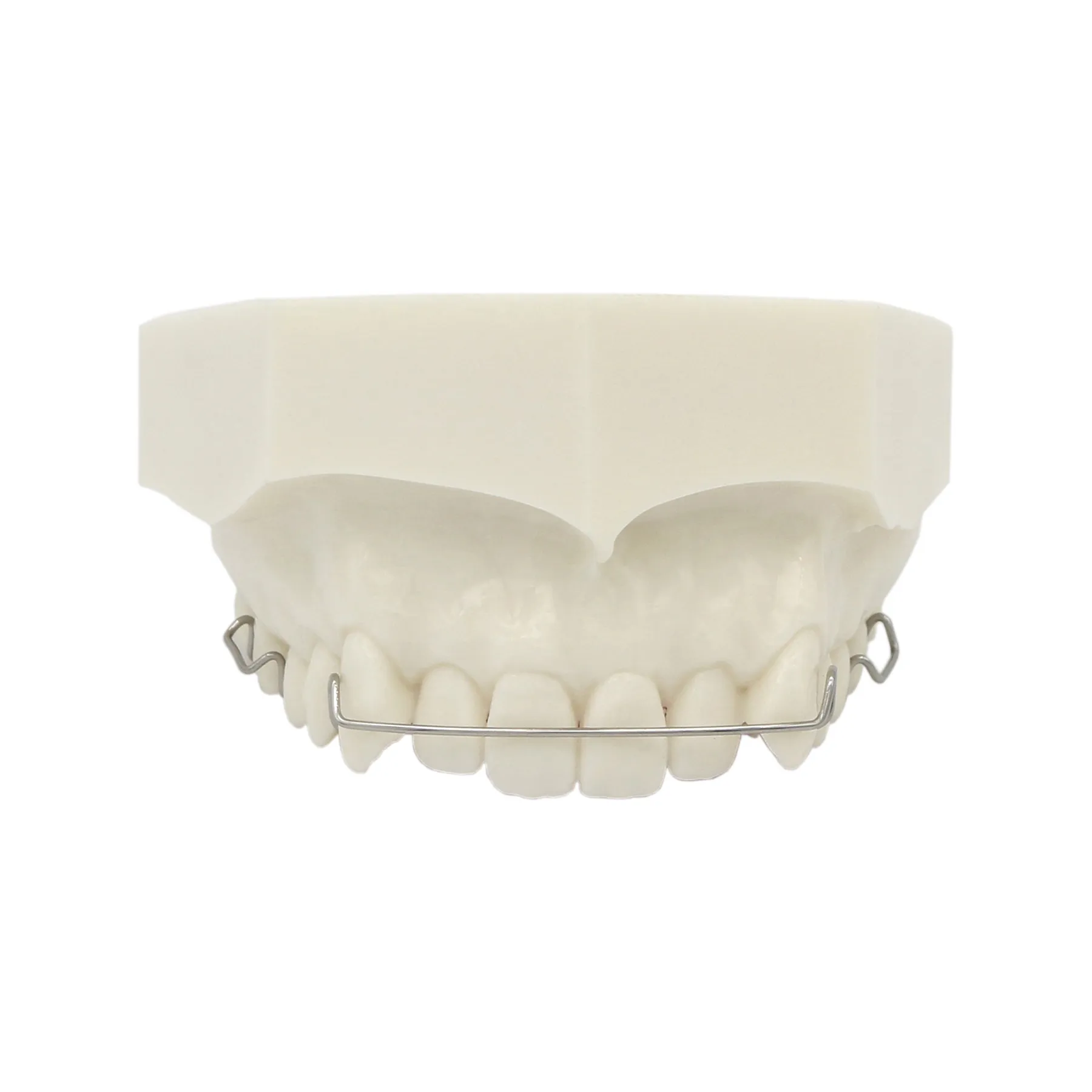 Dental Teeth Model With Hawley Retainer Dental Orthodontic Study Teach ...