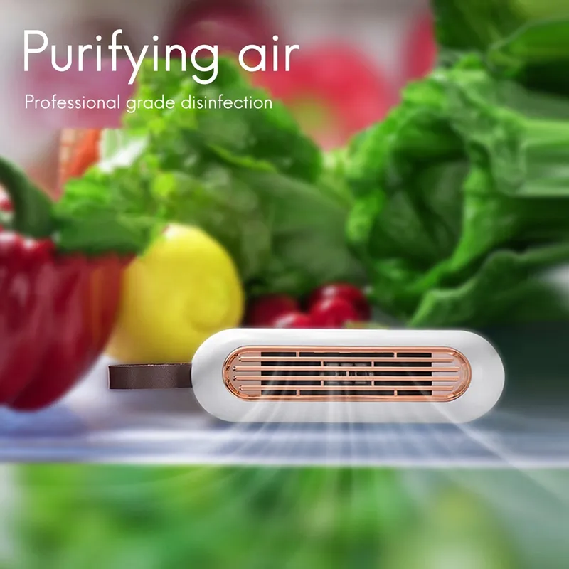 Portable Mini Ozone Generator For Car, Refrigerator, And Room Efficient ...