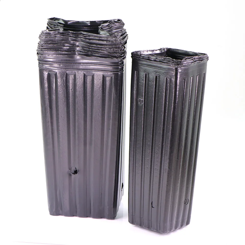 Tall Square Plastic Grow Bags for Seedlings and Transplanting ...