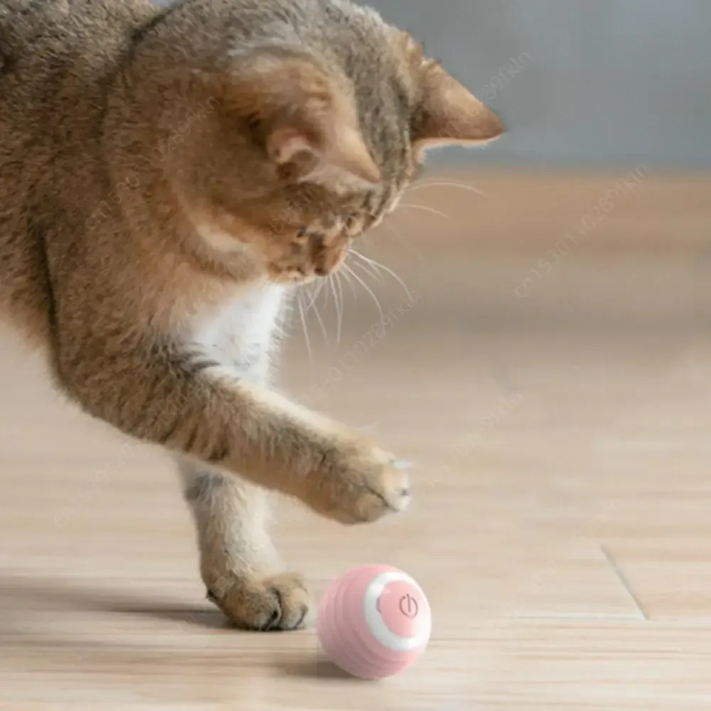 DHgate.com:Smart Interactive Cat Ball Toy, Automatic Rolling Magic Ball ...