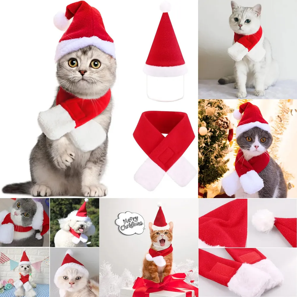 New Cute Kitty Christmas Attire Bundle: Santa Cap and Soft Knit Scarves ...