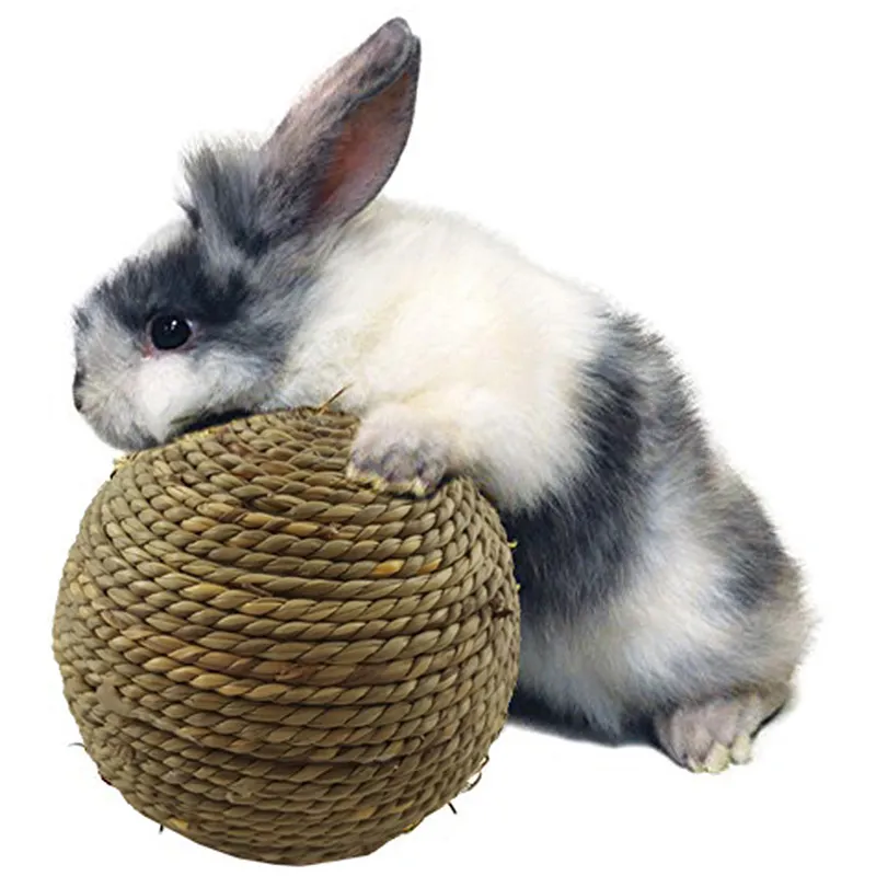 6 in 15 cm and 10 cm Natural Grass Chewing Braided Ball for Guinea Pigs ...