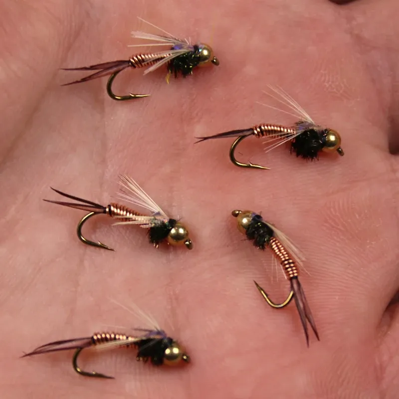 Premium Trout Fishing Flies Set - 10 Copper John Nymphs, Brass Head ...