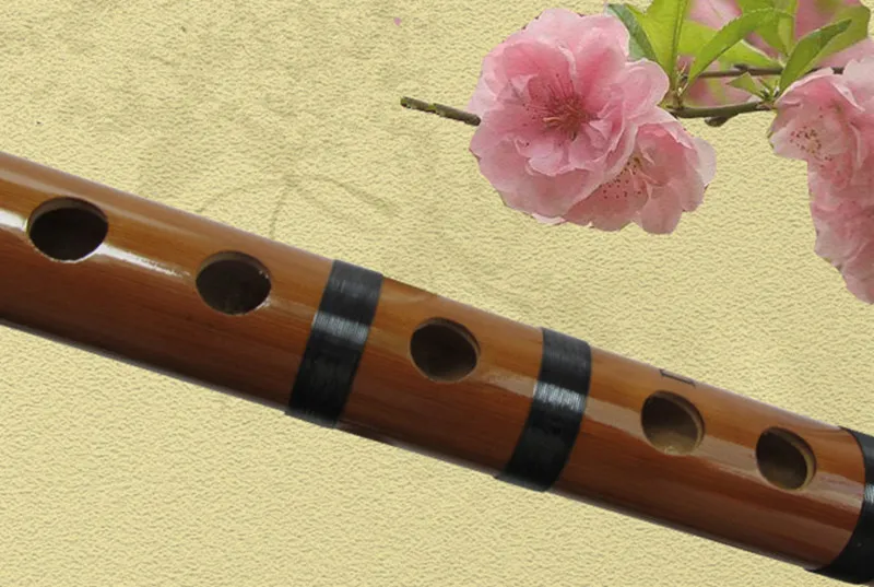 Handmade Chinese Dizi Flute, Professional Transverse Flauta, Bamboo ...
