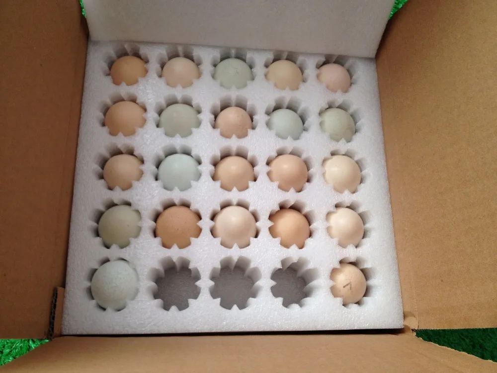 EPE Foam Sheet for 20/25/30 Holes Egg Packaging and Pallet Buffer ...