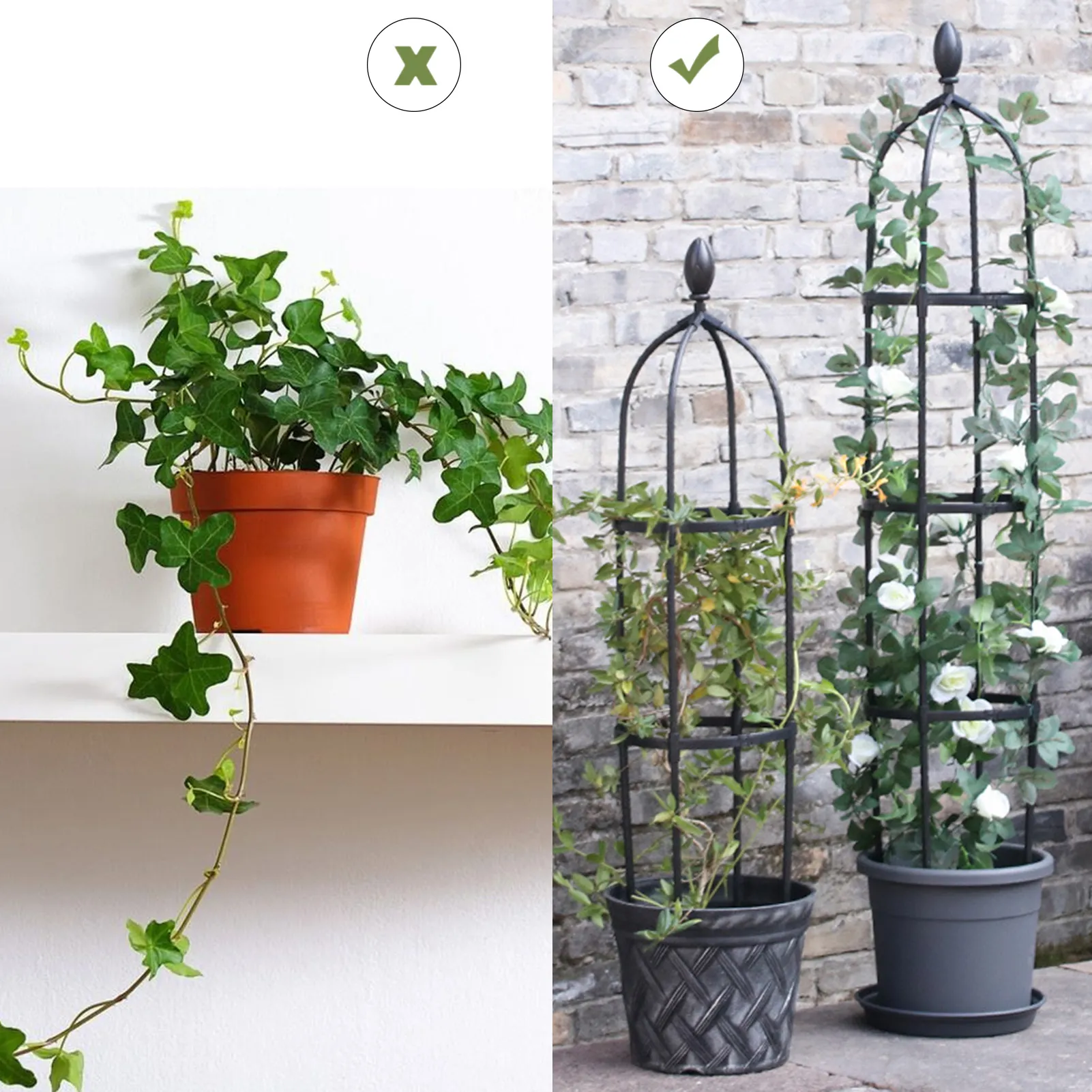 Oblelisk Trellis Corporation For Climbing Plants PE Coated Metal Cage ...