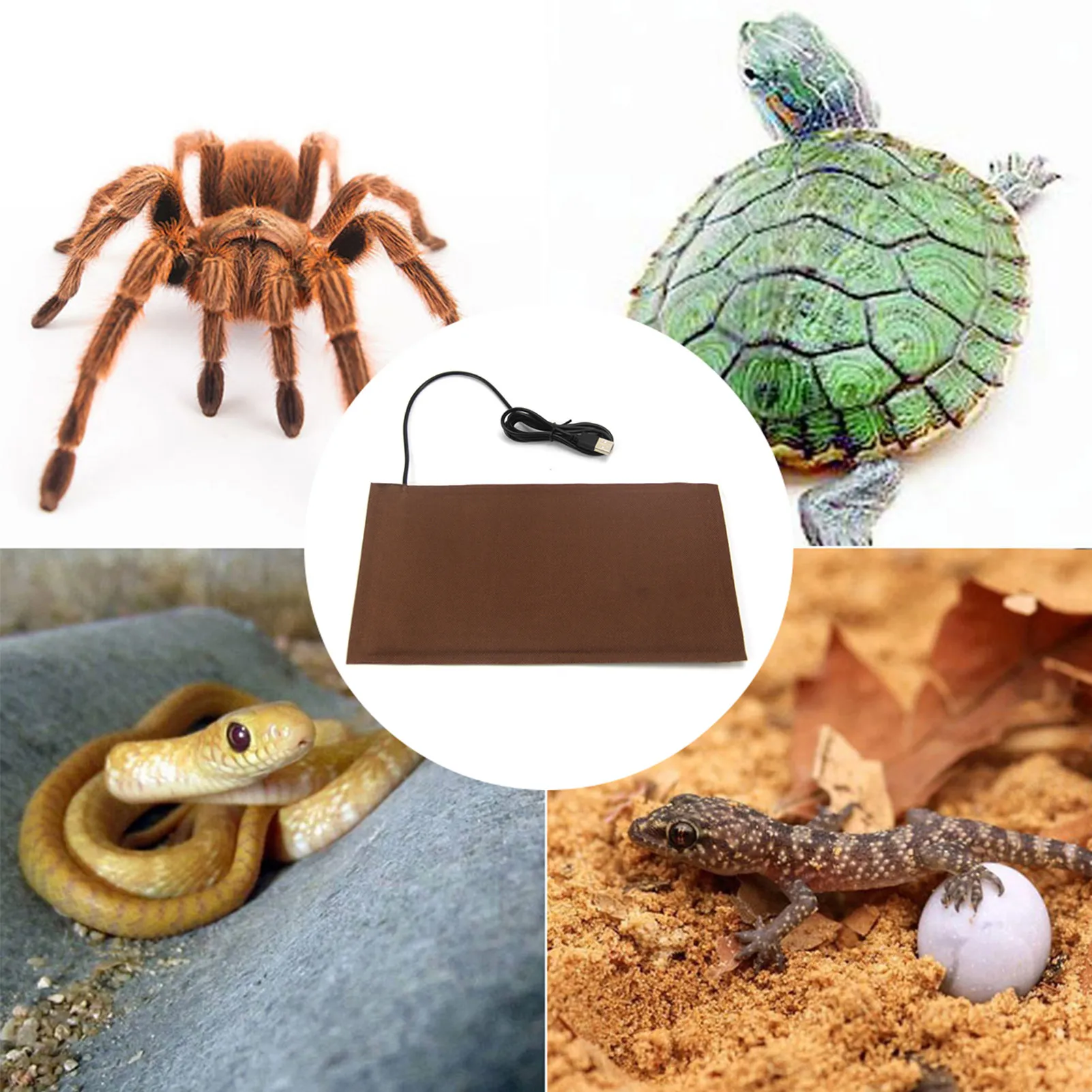 Waterproof Terrarium Heat Mat 20W Reptile Heating Pad - 20W Waterproof ...