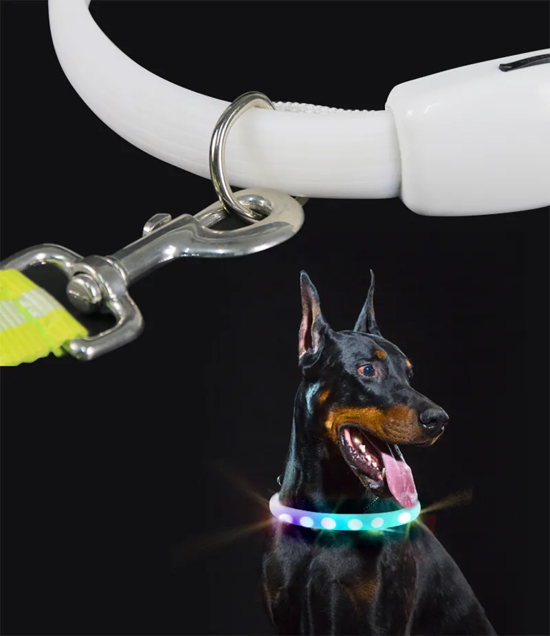 DHgate.com:USB Rechargeable LED Dog Collar - Multicolor, Night Safety ...