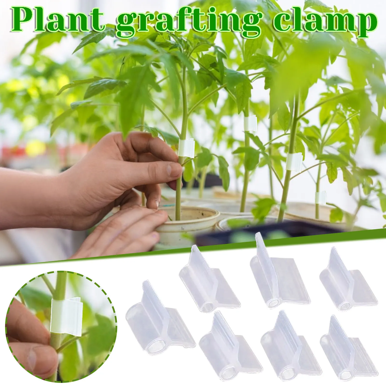 Gardening Grafting stainless steel pipe clamps for Tomato, Eggplant ...