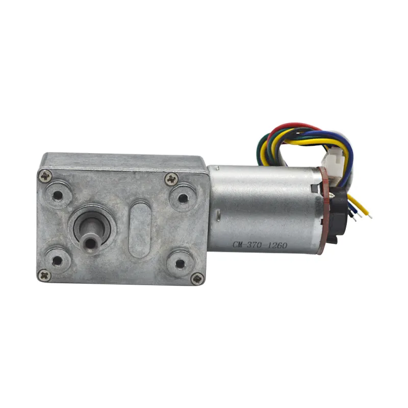 High Torque DC Worm Gear Motor with Encoder - 6V/12V/24V Options - Shop ...