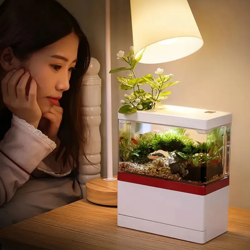 Mini Desk Aquarium Small In One | 1 Gallon Desktop Aquarium