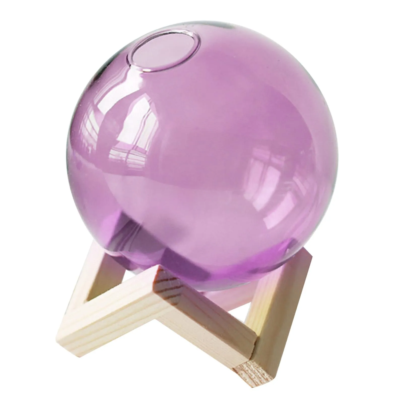 Glass Sphere Plant Vases Hydroponics Vase with Bracket for Flowers ...