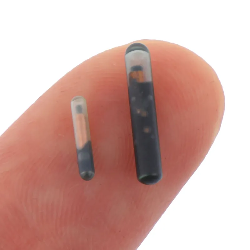 DHgate.com:Microchip Animal RFID Tag - EM4305 Chip, ISO11784/5 FDX-B ...