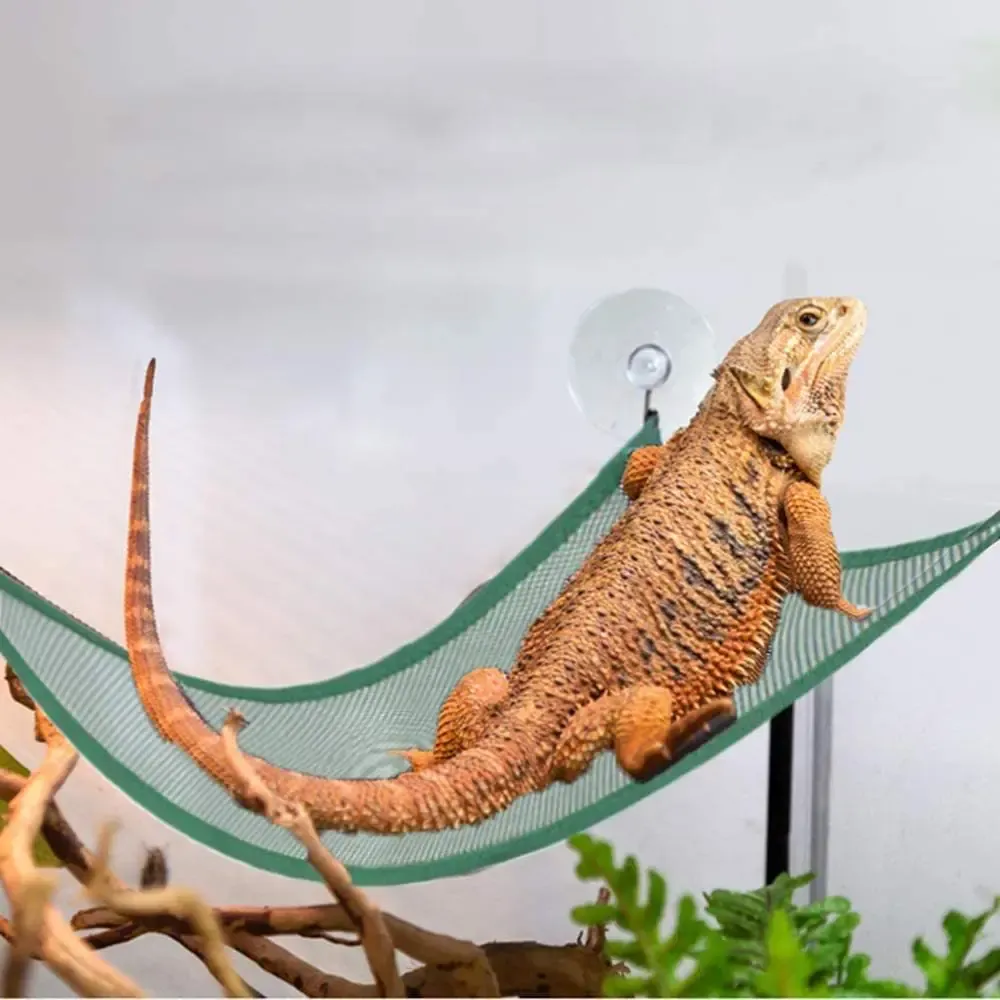 DHgate.com:Pet Reptile IRON Lounger Hammock Bed Oxford Fabric Swing for ...