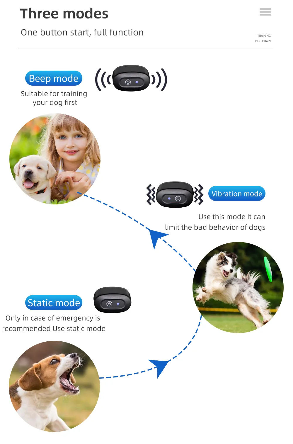800m Remote Dog Training Collar - Waterproof Bark Control, Professional ...