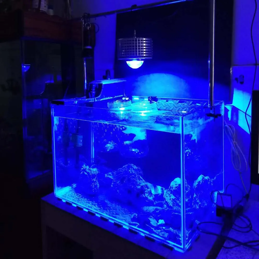 DHgate.com:CREE LED Full Spectrum Aquarium Reef Light Bulb: Coral ...