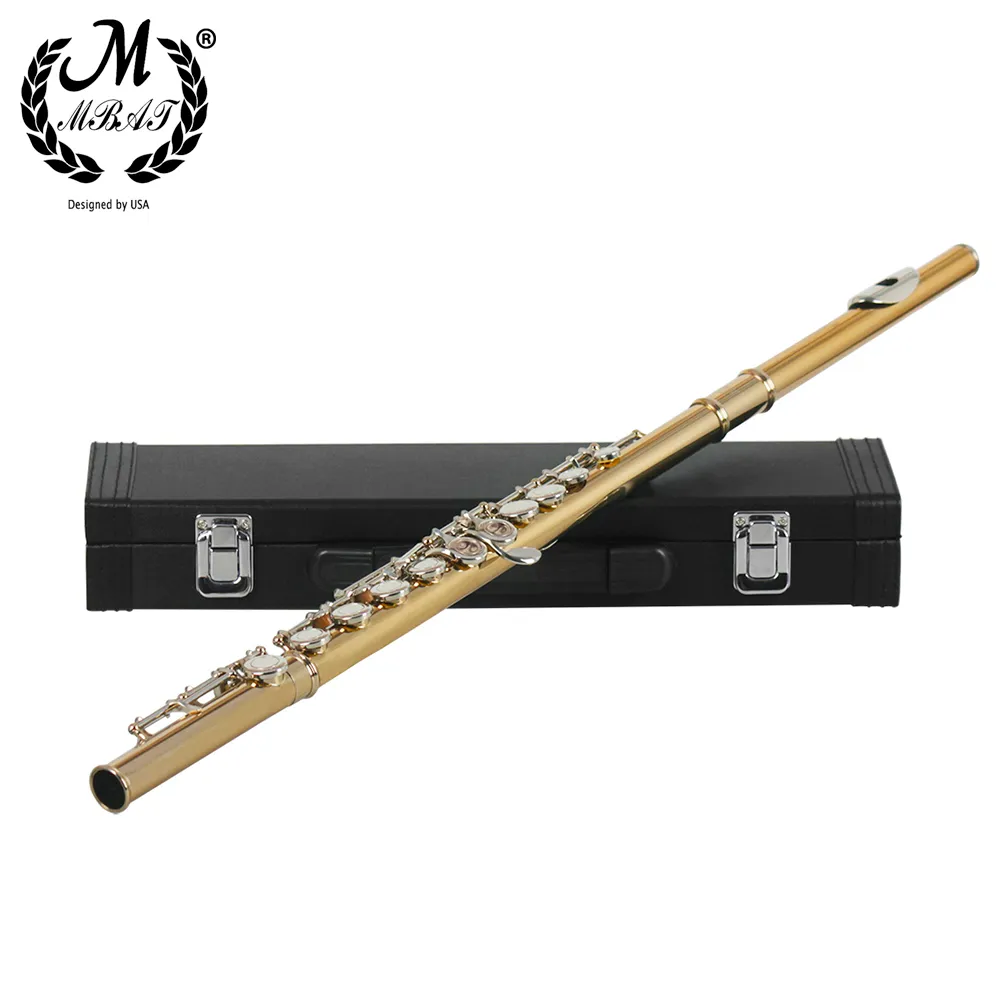 16-Hole Flute with Golden Silver Key and Storage Box: Premium Woodwind ...