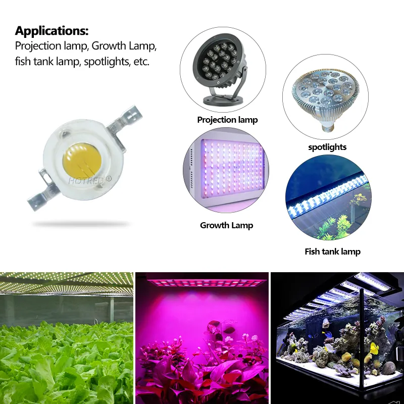 DHgate.com:1W 3W High Power LED COB Lamp Chip for DIY Floodlight Plant Grow - Warm, Cold White ...