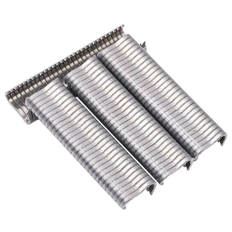 M Nails Cage Staples for Installing Chicken, Duck, Bird, Dog, and ...
