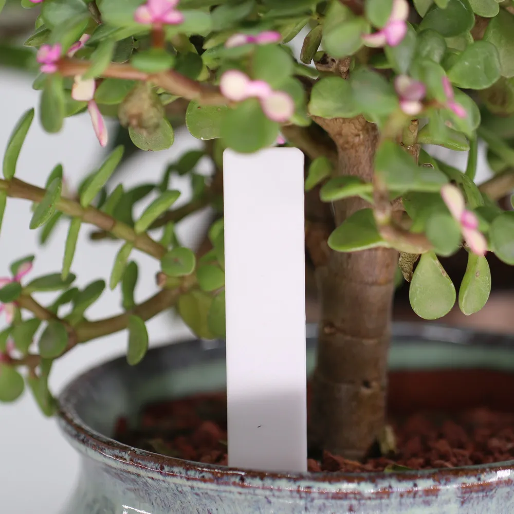 White Plastic Garden Plant Labels - Waterproof Reusable Nursery Flower ...