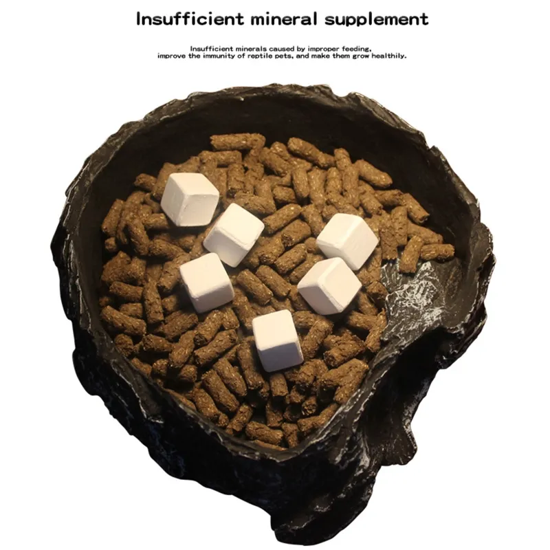 3-Pack Turtle Calcium Blocks - Slow Release Mineral Supplement for ...