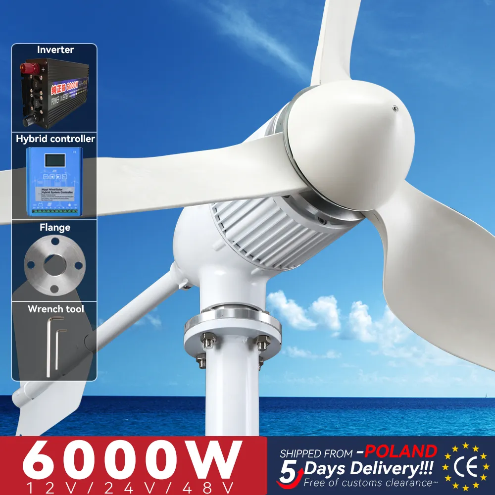 6000W/4000W Wind Turbine Generator: 220V/24V/48V, Free Energy, MPPT ...