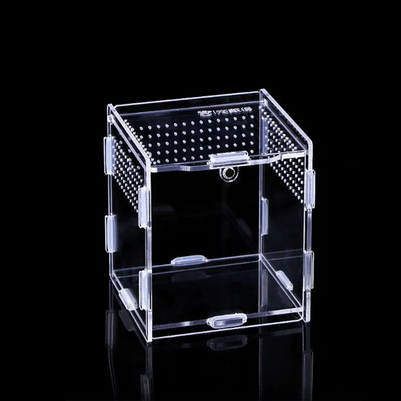 Insect Feeding Box: P82D Transparent Acrylic Terrarium Container for ...
