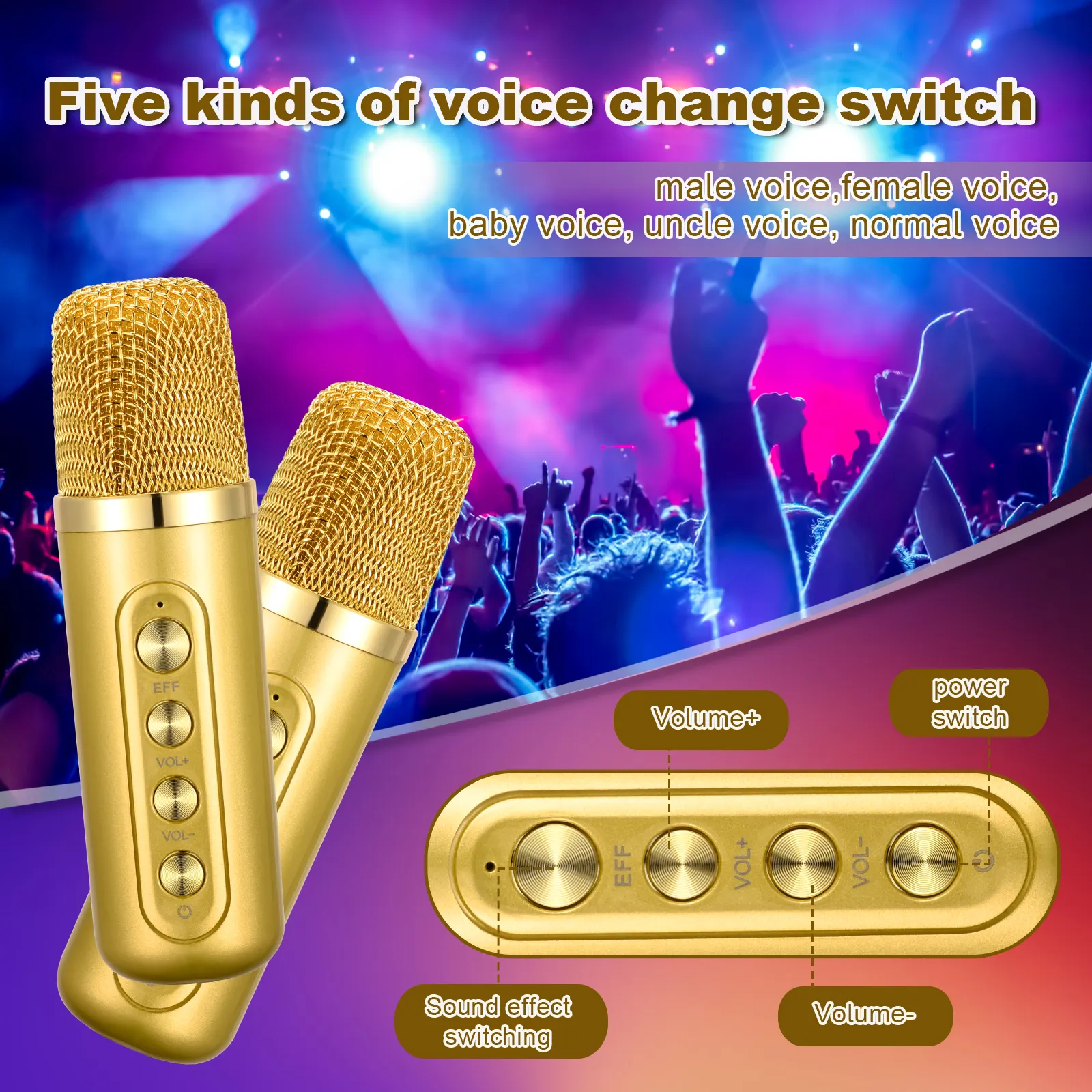 Portable Karaoke Machine with Dual Handheld Microphones Bluetooth 5.0 ...