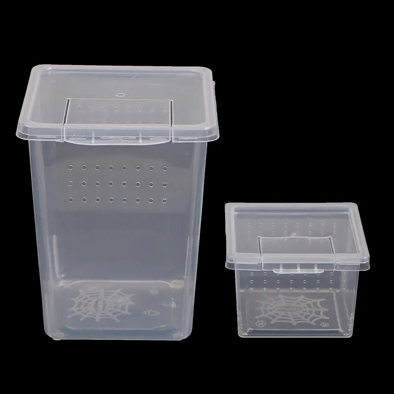 Acrylic Feeding Box w/ Lid for Insects & Spiders - Transparent Habitat ...