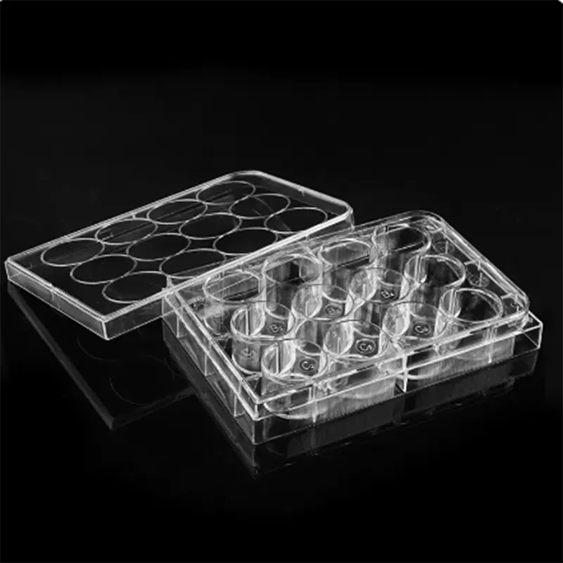 DHgate.com:6-96 Well Flat Bottom Cell Culture Plates - Sterile TC ...