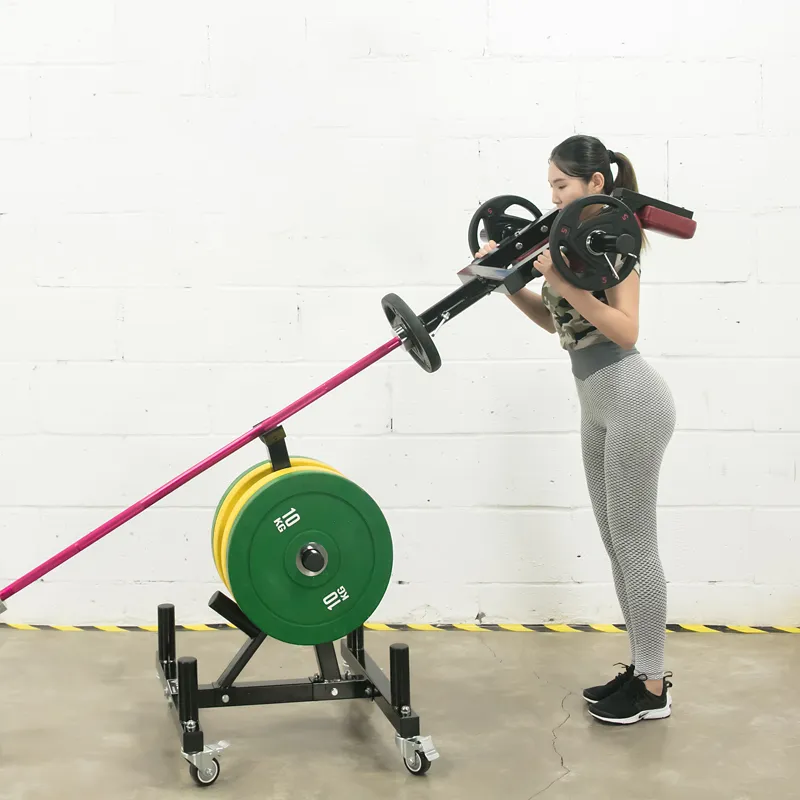 DHgate.com:"All-in-One Push Pull Bar: Versatile Core Strength Training ...