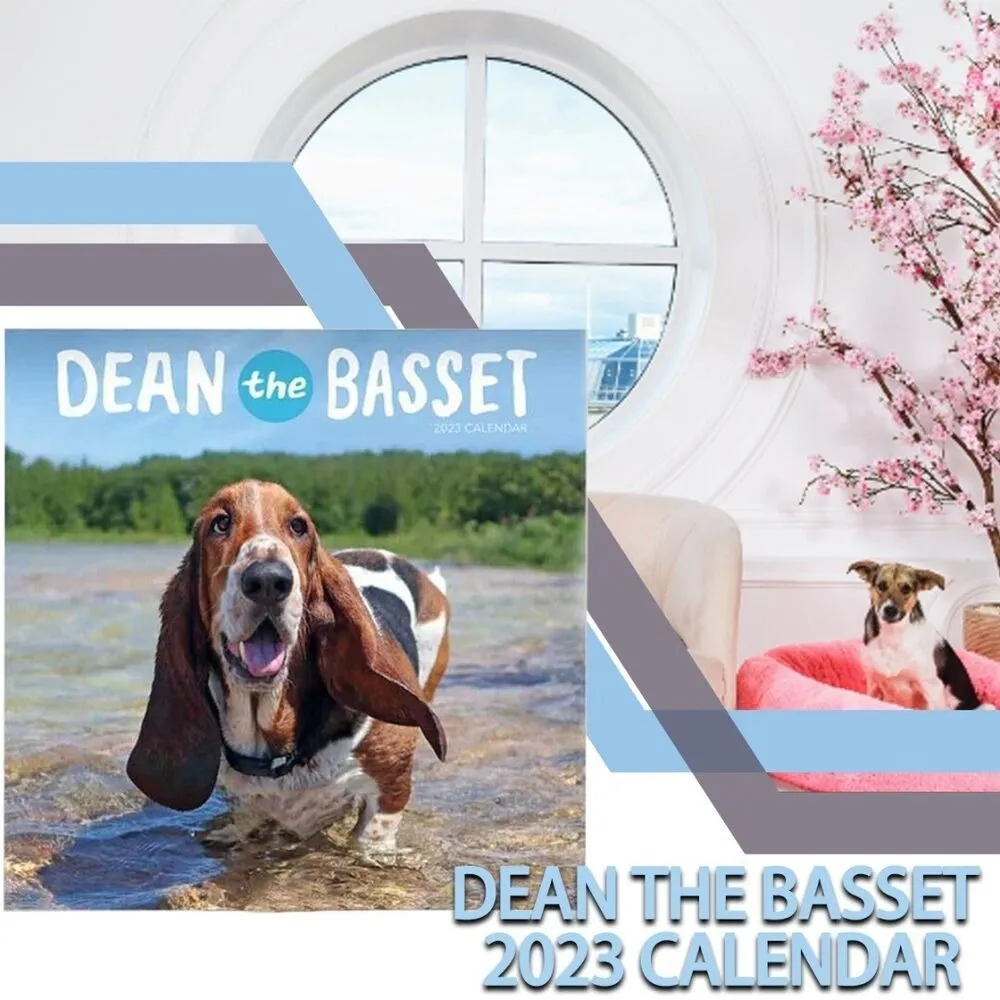 Dean The Basset 2024 Wall Calendar: Cute and Adorable Pet Dog Calendar ...