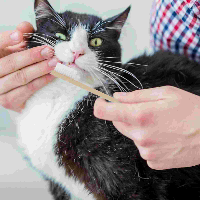 DHgate.com:2 Pack Double-Ended Disposable Dog Toothbrushes - White, Pet ...