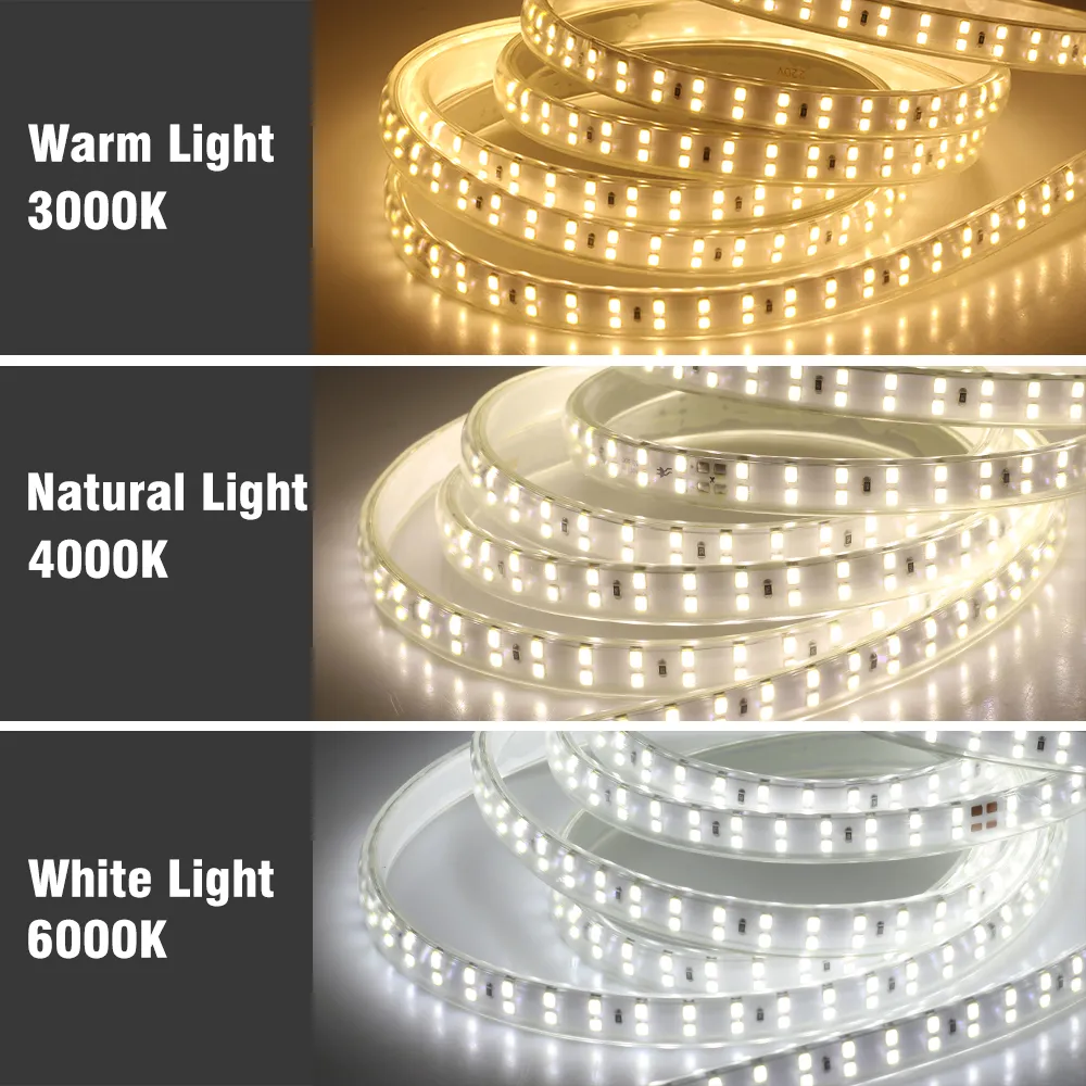 220V Double Row SMD2835 LED Strip Light 180 LEDs/ft Waterproof Flexible ...
