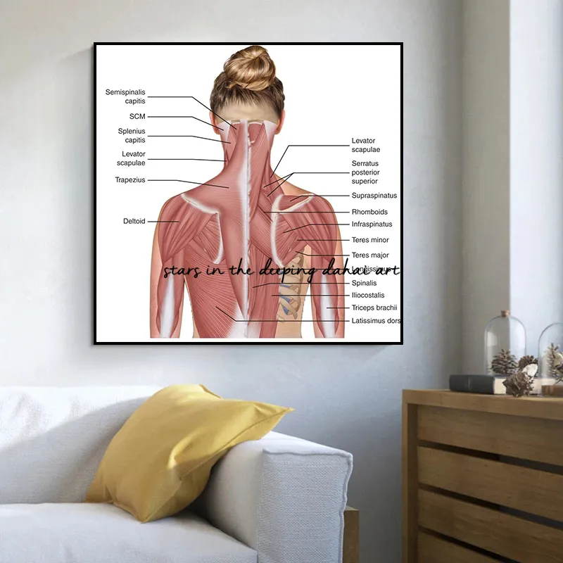 Body Wall Art: Anatomical Neck, Head, Face Muscles Medical Print On ...