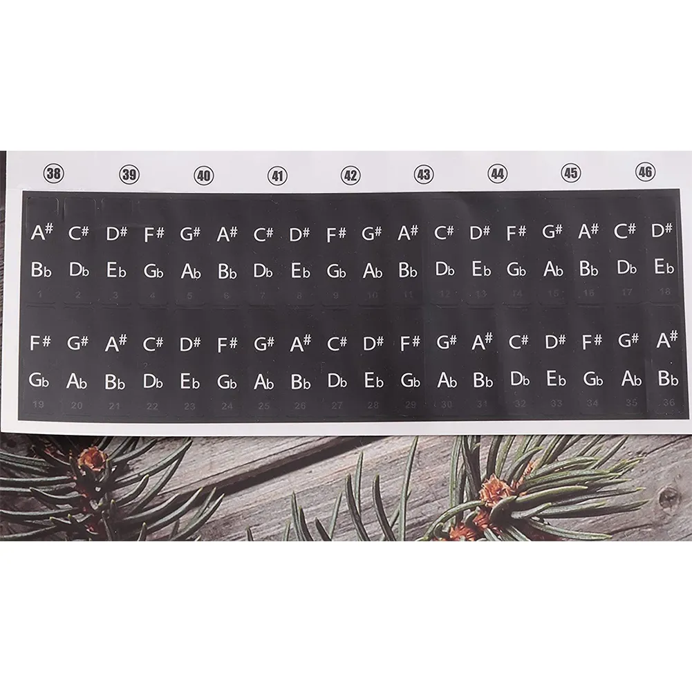 Vibrant Transparent Piano Keyboard Stickers: Colorful Music Note Decals ...