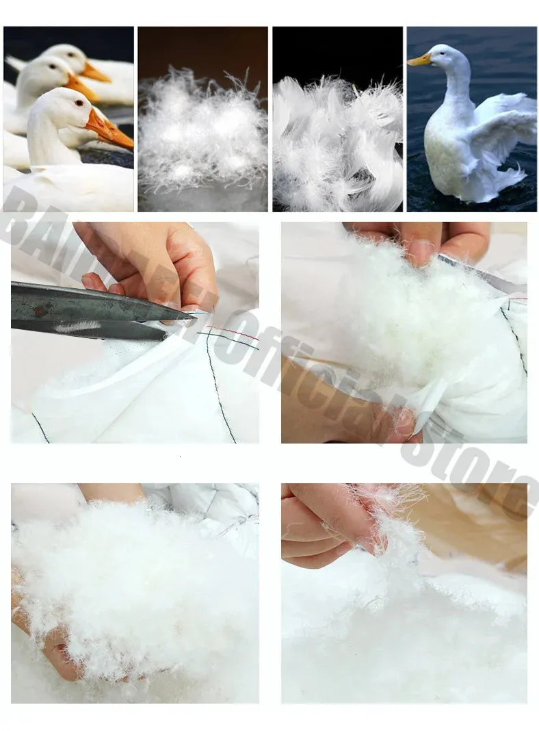 Oversized 3XL 4XL Women's Autumn/Winter Fashion Jacket with Stand ...