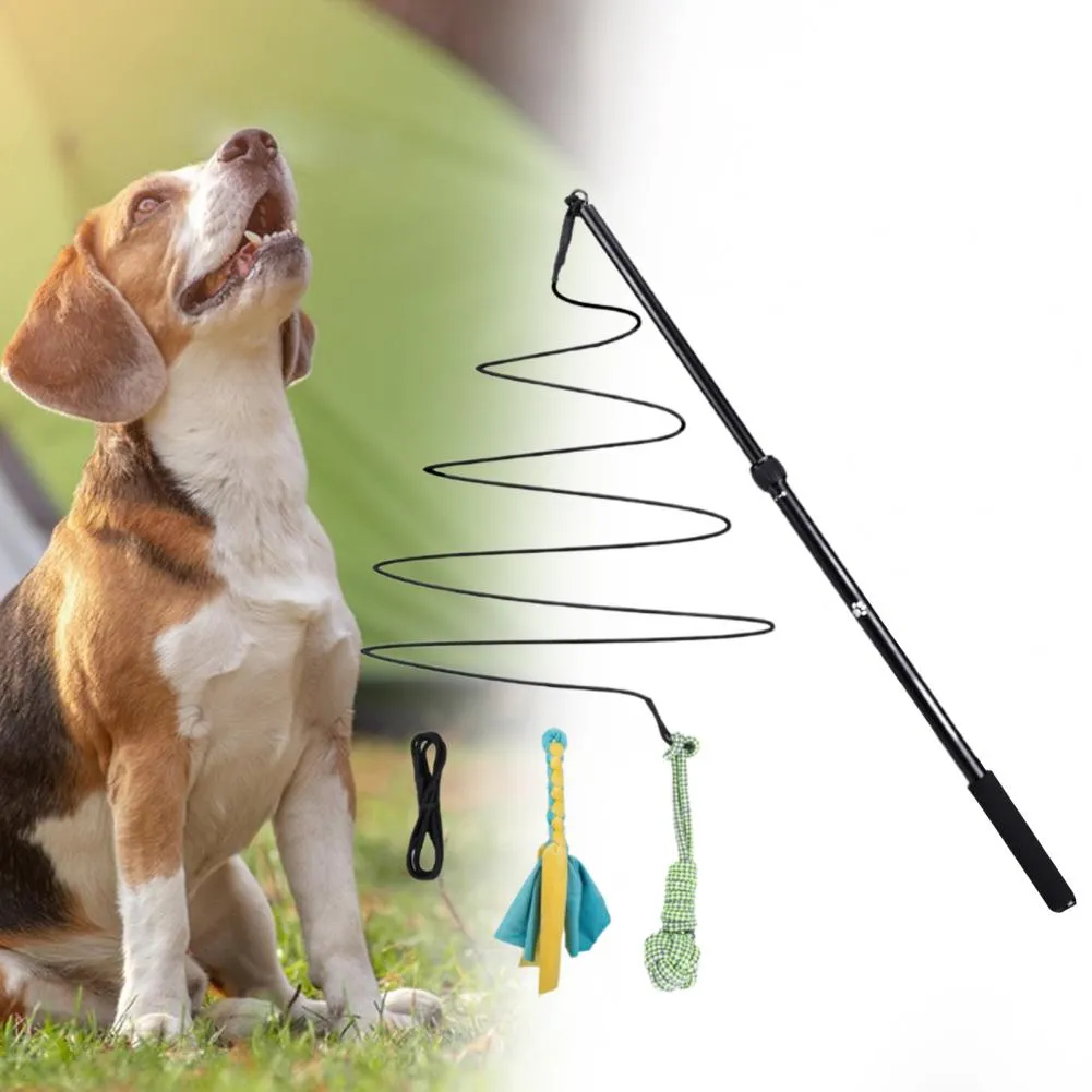 Wholesale Great Dog Retractable Teaser Wand Outdoor... From Ddmydec ...
