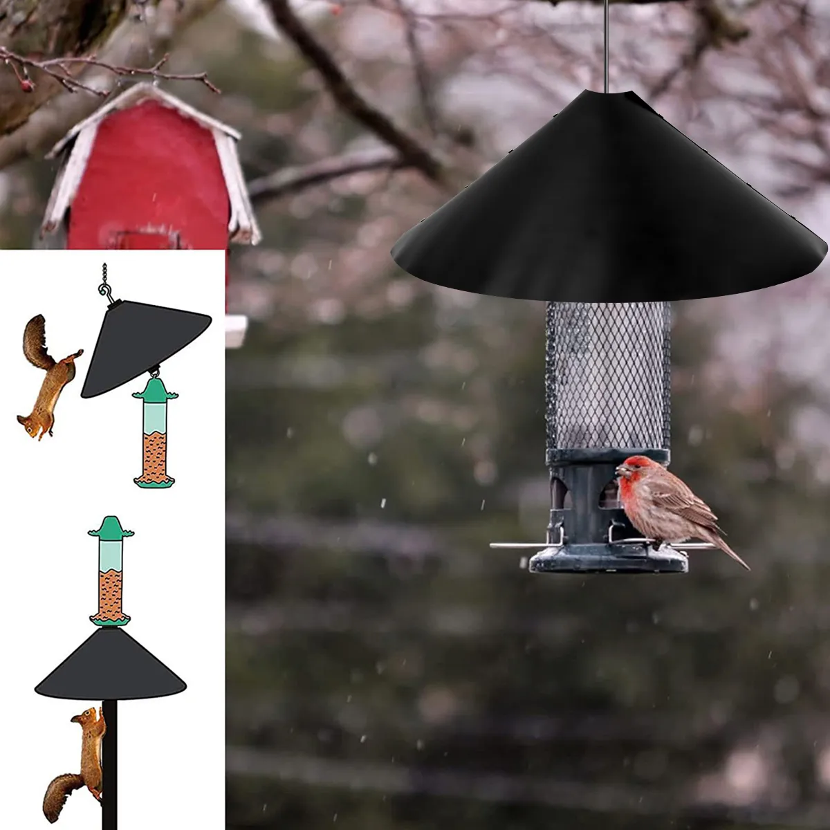 Squirrel Proof Bird Feeder Guard - 18 Durable Plastic Wrap-Around ...