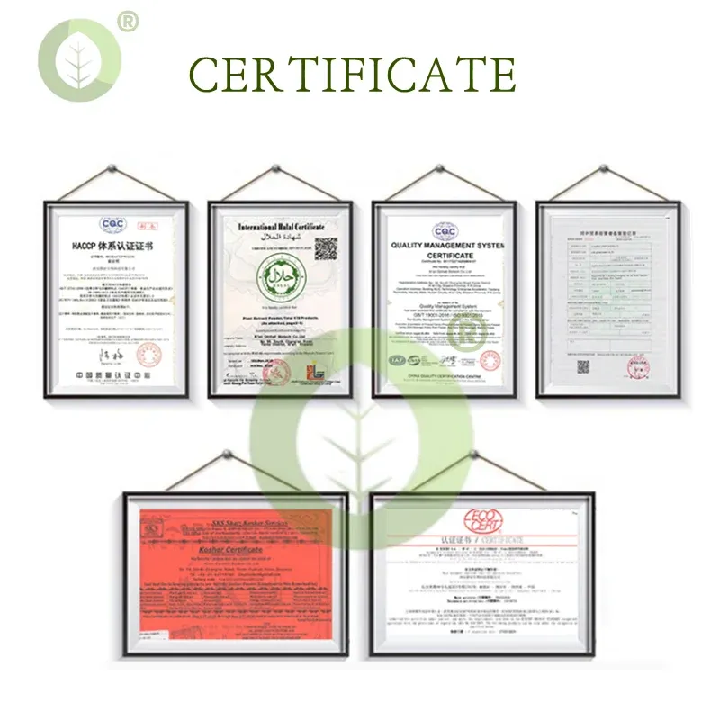 Snail Extract Powder for Youthful Glow | Moisturizing Cosmetic Raw for ...