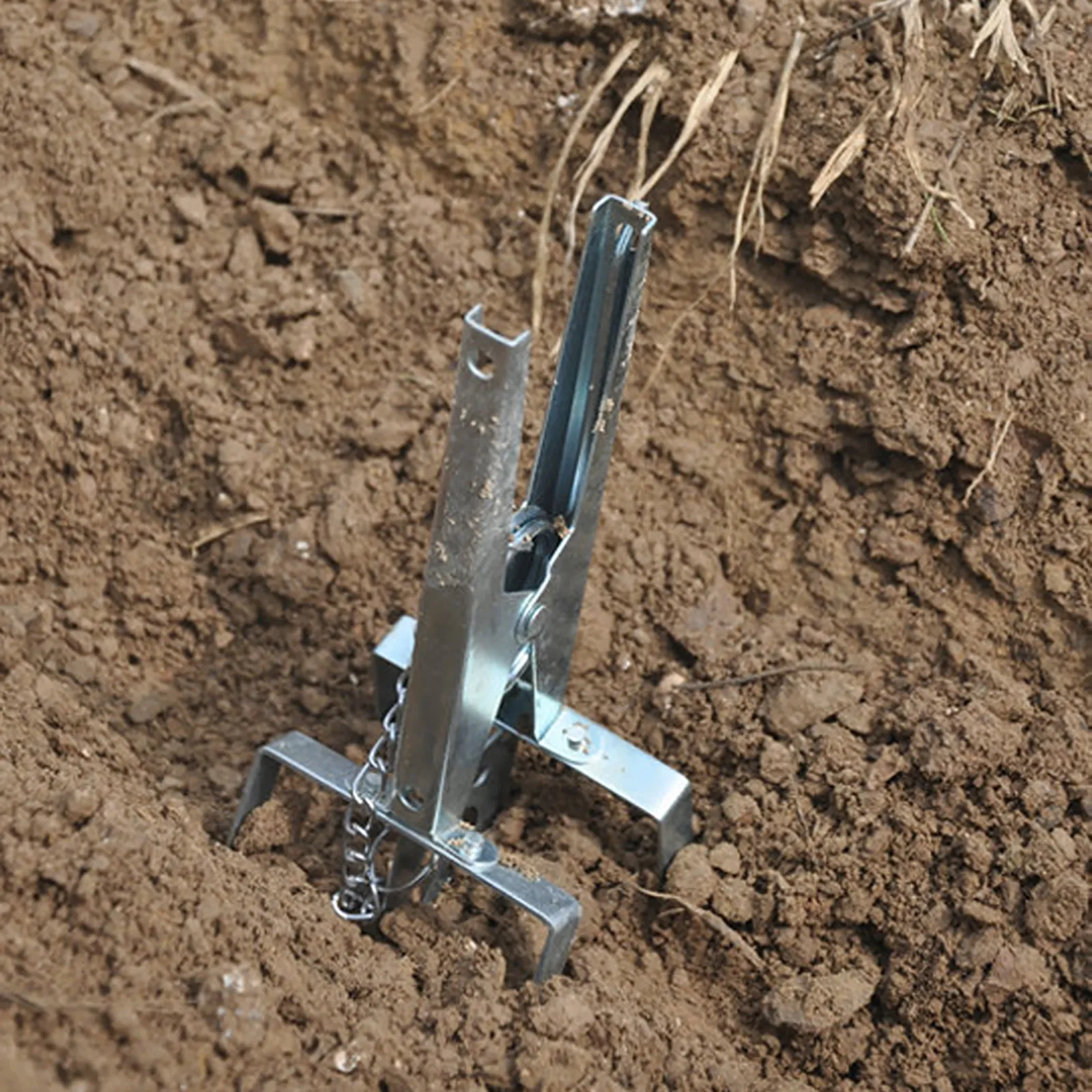 Mole Eliminator Trap Galvanized Steel Pest Control Clip For Moles And ...