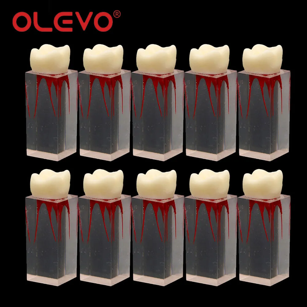 DHgate.com:OLEVO Endo Block Endodontic Model Root Canal Resin Training ...