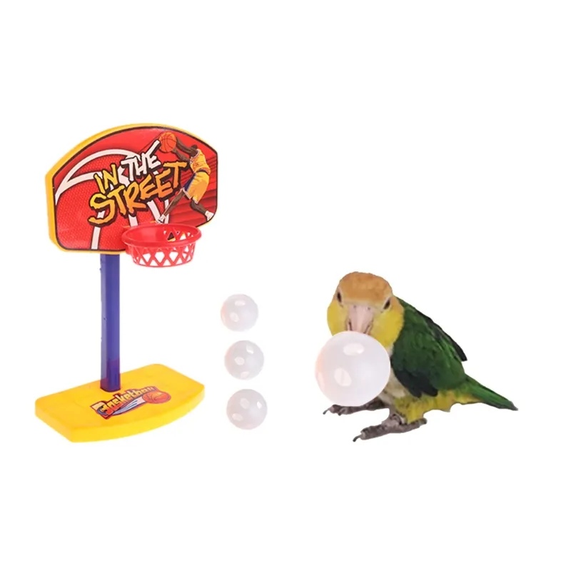Parrot Intelligence Mini Basketball Set for Parakeet Cockatiel Macaw ...