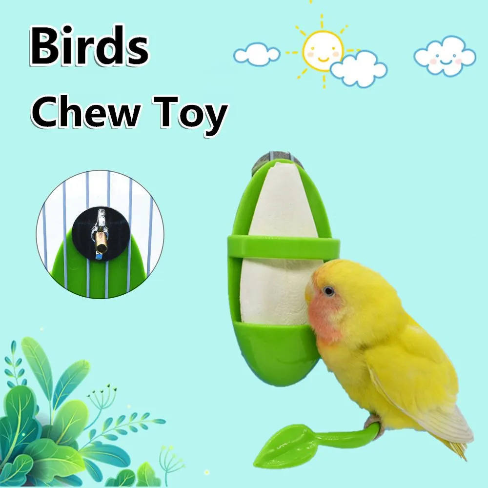 Toys For Parrots: Green Plastic Hanging Swing Bird Toy For Budgies ...