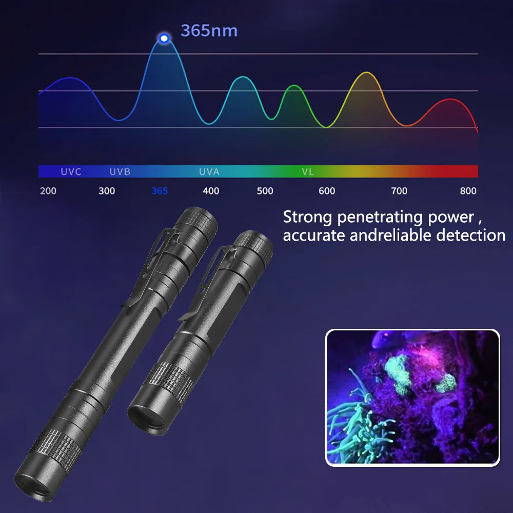 Mini UV Flashlight 365/395nm Handheld Ultraviolet LED Black Light ...